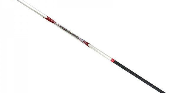 DAIWA TD POLE 5,00M